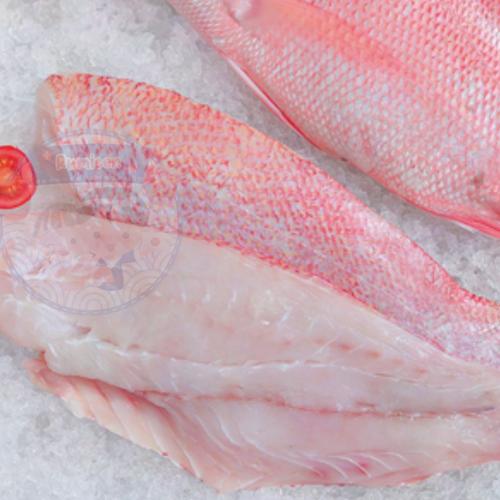 Jual RED SNAPPER PORTION (IKAN RED SNAPPER) - VACUUM BAG - Jakarta ...