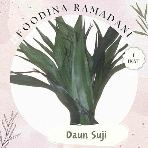 Jual DAUN SUJI Hijau - Suji Leaf Fresh [ 1 Ikat ] Harga Per IKAT ...