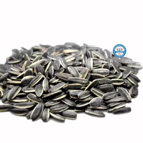 Jual Kuaci biji Matahari kuaci hitam kuaci original 500 gram - 250gr ...