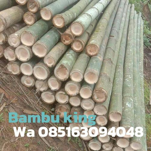 Jual Bambu proyek bangunan bambu steger - Kab. Bogor - Bambu King ...