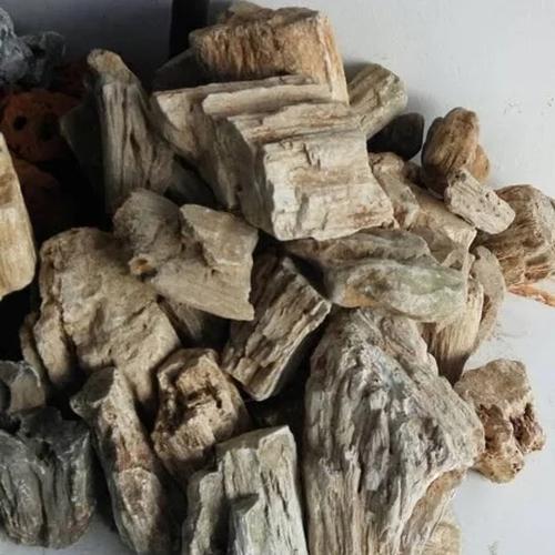 Jual Batu Fosil Aquascape Hiasan Aquarium - Kota Bekasi - Rachman ...