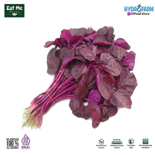 Jual Eat Me Brand - Sayur Bayam Merah Hidroponik Kg - 500gr - Jakarta ...
