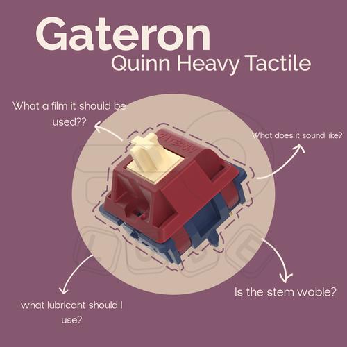 Jual LUBED (59g) Gateron Quinn Heavy Tactile Switch with Krytox ...