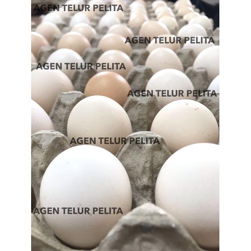 Jual Telur Ayam Kampung Kuning ASLI DAN FRESH - AGEN TELUR PELITA ...