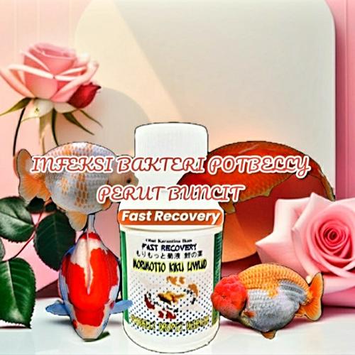 Jual OBAT IKAN KOI TERKENA DROPSY BAKTERI POTBELLY/KEMBUNG AIR/KEMBANG ...