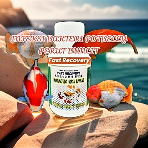 Promo OBAT IKAN DROPSY SAKIT IKAN KOI DALAM /POTBELLY/KEMBANG SISIK ...