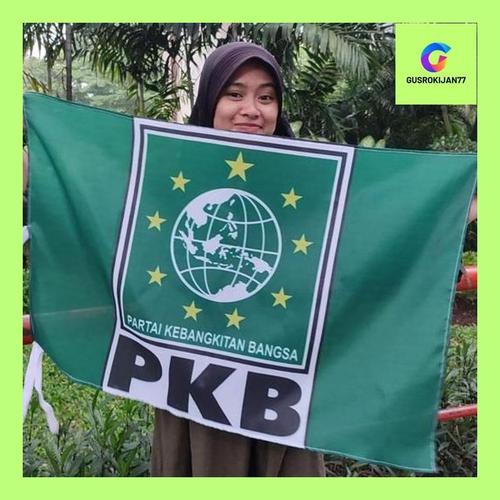 Jual GUS_ BENDERA CUSTOM LOGO PARTAI PKB / MINI FLAG PARTAI MOTIF PKB ...