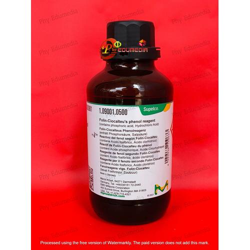 Jual Folin Ciocalteus Merck Phenol Reagent / Follin / Folin Per ml ...