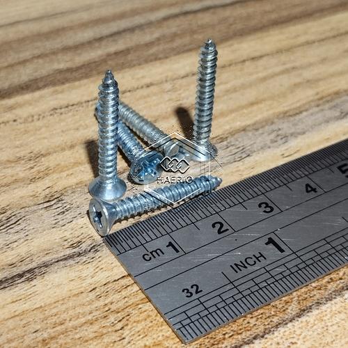 Jual SEKRUP SKRUP FH FAB F+AB TAPPING 6X1 PANJANG 2,5CM TAPING SCREW 6 ...