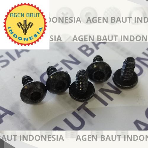 Jual [ Paket Isi 50 Pcs ] Baut Skrup Body 5x12 Kunci L - Kota Bekasi ...