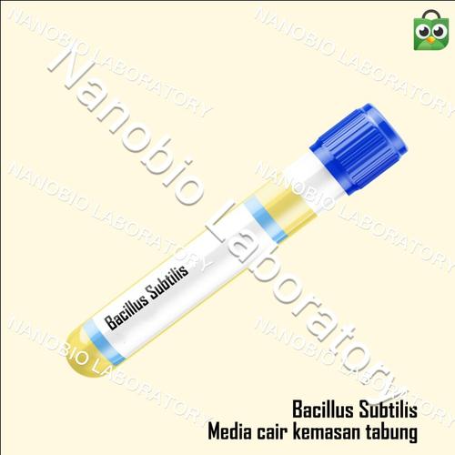 Jual Isolat Culture Bacillus Subtilis Media Cair 100ml - Media Cair ...