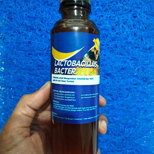 Jual Probiotik Lactobacillus untuk Ikan Koi dan budidaya ikan Bioflok ...