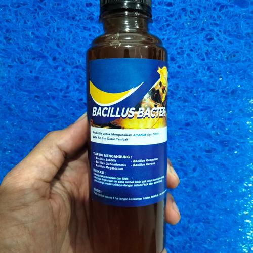 Jual Probiotik ikan Bacillus untuk Kolam Koi dan budidaya ikan Tawar ...
