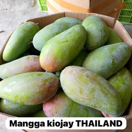Jual mangga kiojay | mangga bangkok - 1kg - Kiojay - 1 kg - Jakarta ...