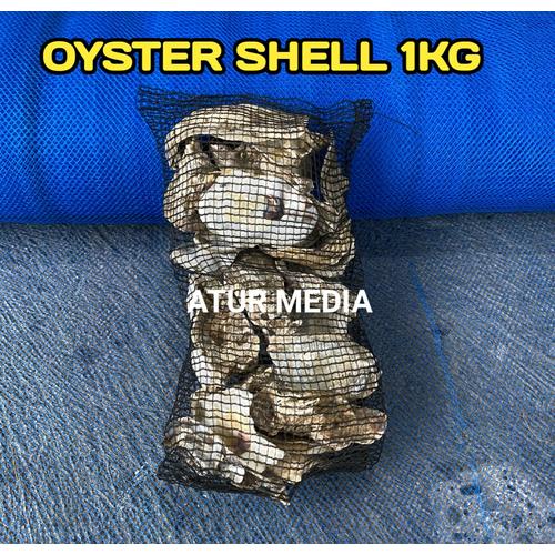 Jual Oyster shell kulit kerang kemas 1kg, media filter kolam dan ...