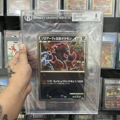 Jual Zoroark Groudon Dialga Rayquaza JUMBO Beckett BGS graded 2012 ...