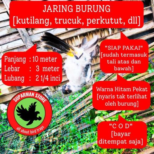 Jual Promo Jaring Burung Kutilang 10 Jala Pikat Kutilang Jala Pukat ...