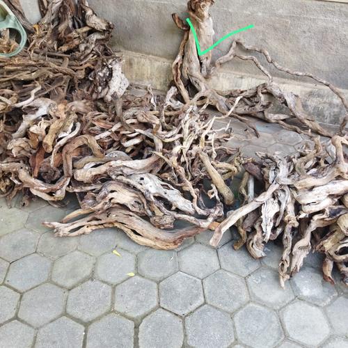 Jual kayu santigi kayu stigi sentigi kayu tenggelam aquarium aquascape ...