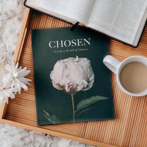 Jual Daily Grace, Chosen, Study Bible - Kitab Efesus, Seri Belajar ...