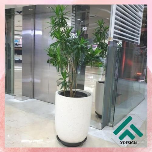 Jual Pot Tanaman Terazzo Tipe Apollo Kapsul - Kota Depok - D'design ...