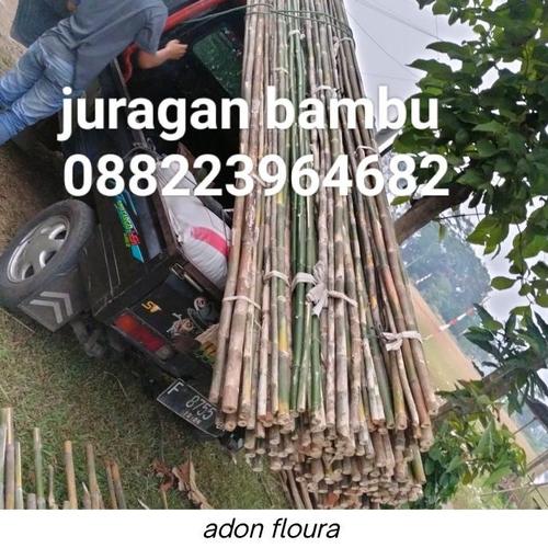 Jual BAMBU TIANG BENDERA UMBUL UMBUL SIAP PAKAI SEGERA MILIKI - Jakarta ...