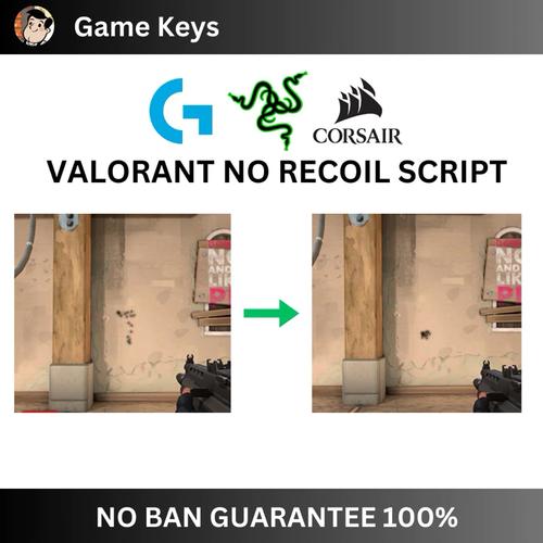 Jual VALORANT NO RECOIL SCRIPT MOUSE - Logitech - Kota Tangerang ...