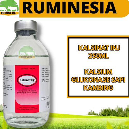 Jual KALSINAT INJ 250ml - Obat untuk hipokalsemia milk fever pada sapi ...