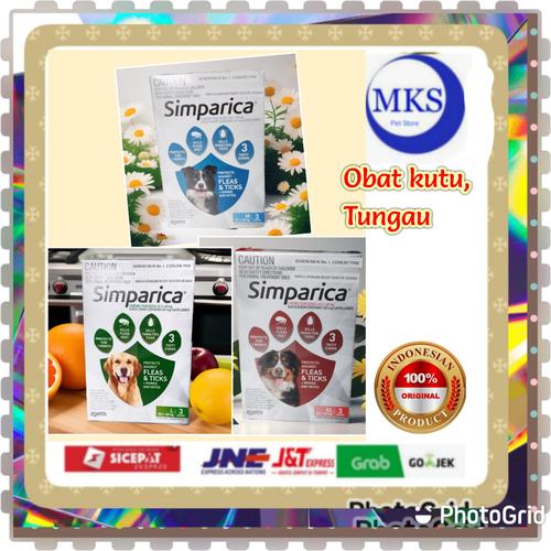 Jual Simparica obat anti kutu dan jamur /Tablet/Kapsul - Biru - Kota ...