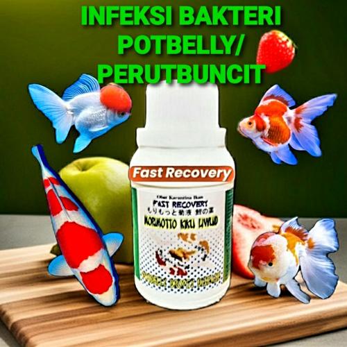 Jual OBAT IKAN BAKTERI POTBELLY/KEMBUNG AIR/KEMBANG SISIK/BERAK PUTIH ...