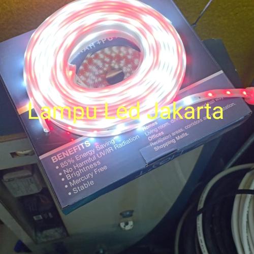 Jual lampu led selang merah putih 7meter siap nyala. lampu selang kelap ...