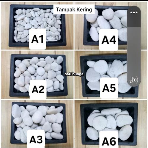 Jual batu coral hiasan taman/batu coral hiasan tanaman/batu pelengkap ...