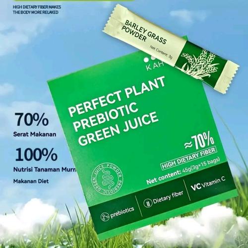 Jual PAKET 3 BOX PERFECT PLANT PREBIOTIC GREEN JUICE GREEN PROBIOTIC ...