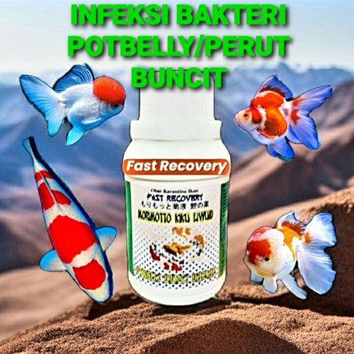 Promo OBAT IKAN KOI DROPSY POTBELLY BAKTERI DALAM PERUT/KEMBUNG AIR ...