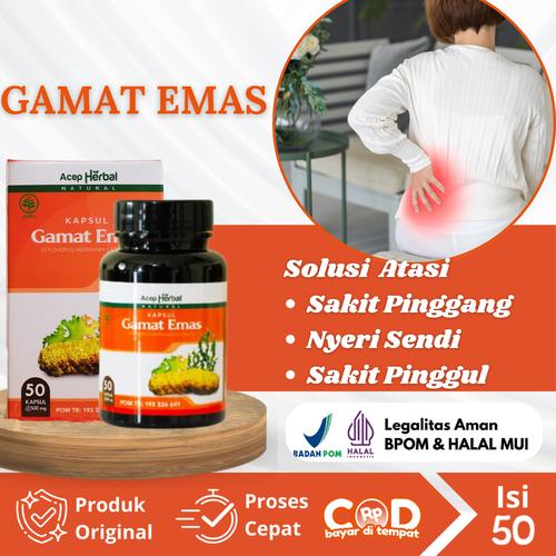 Jual Obat Sakit Pinggang, Sakit Tulang Ekor, Nyeri Tulang Belakang ...