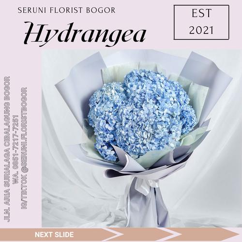 Jual buket bunga / buket seruni-hydrangea polos/ buket wisuda / buket ...