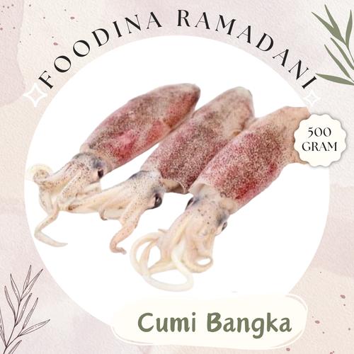 Jual CUMI Bangka - Squid Fresh [ Size M/L Berat 500gr ] Harga Per 0,5 ...