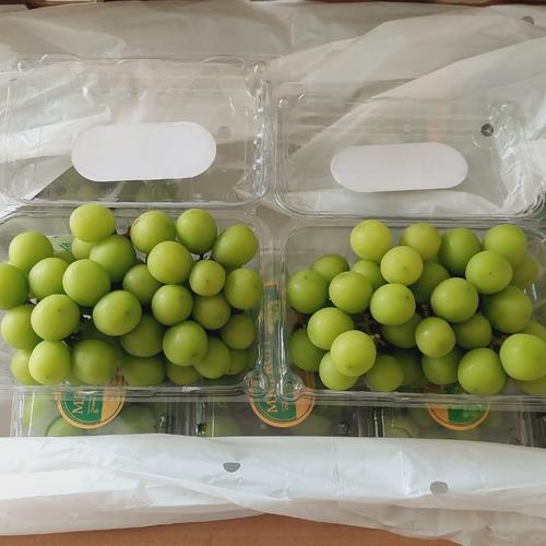 Jual Anggur Shine Muscat Isi 10 Pack / Box - Jakarta Barat - Jakarta ...