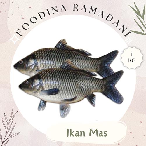 Jual IKAN MAS Karper - Carp Fish Fresh [ Berat 1.000gr ] Harga Per KG ...