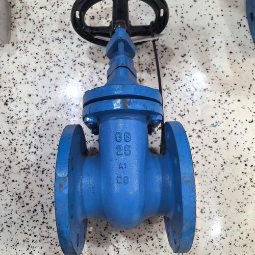 Jual Gate Valve 3" DN80 Flange DIN PN10 CAST IRON SEAT PTFE, ERIK FIG ...