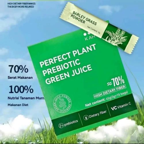 Jual PAKET 2 BOX PERFECT PLANT PREBIOTIC GREEN JUICE GREEN PROBIOTIC ...