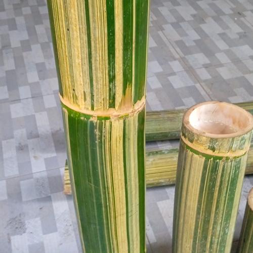 Jual bambu besar langka diameter 12-15 cm panjang 100 cm - Kab ...