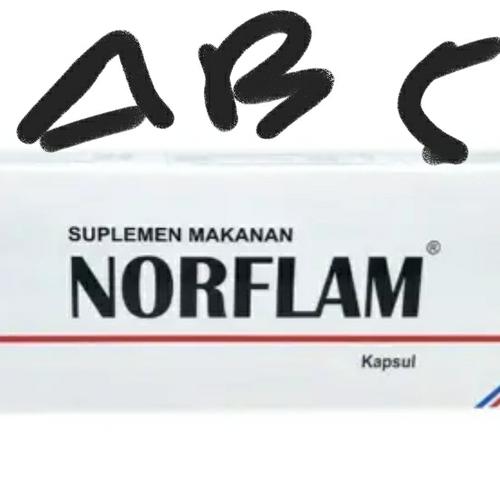 Jual NORFLAM TABLET HARGA PER STRIP - Jakarta Utara - ABS02 | Tokopedia