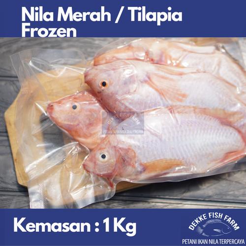 Jual Ikan Nila Merah Frozen / Tilapia Frozen Kemasan 1 Kg ( Sudah ...