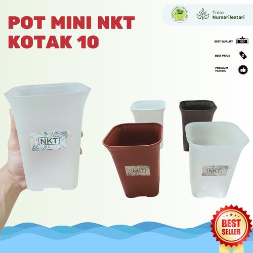 Jual Pot NKT Kotak Mini Kecil 10 cm - HITAM/MERAH/PUTIH/BENING - Hitam ...