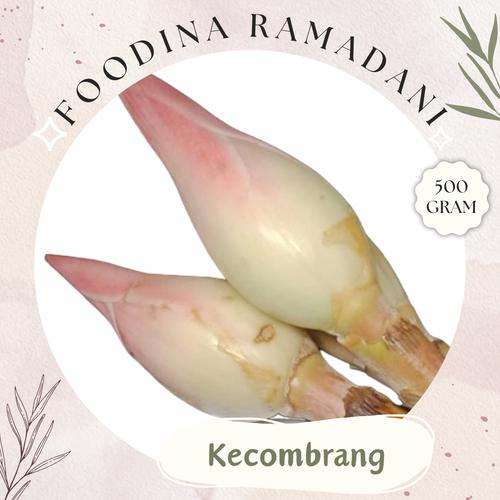 Jual KECOMBRANG Kincung Honje - Torch Ginger Fresh [ Berat 500gr ...