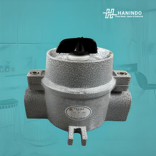 Jual Saklar Selector Switch On Off Explosion Proof SW-10 Yaming ...