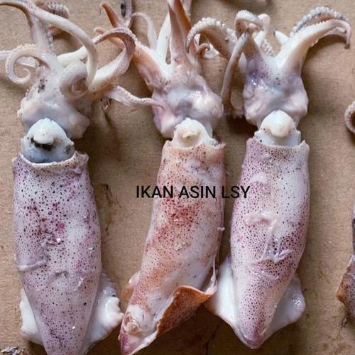 Jual ikan asin cumi rebus/sotong rebus size jumbo 500gr Ekonomis/Terbaru/Best Seller - Kab ...