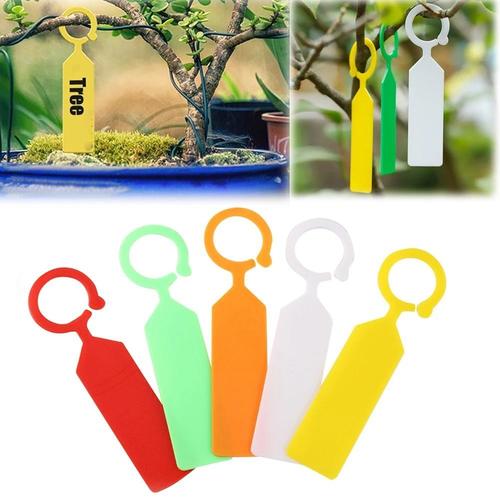 Jual 100 Pcs Label Tanaman Tag/Warna Label Tanaman Gantung /Tag Pohon Label/Tag Nama Tanaman ...