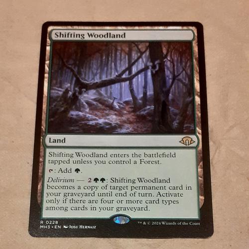 Jual MAGIC THE GATHERING MTG Shifting Woodland - Jakarta Barat - TCG ...