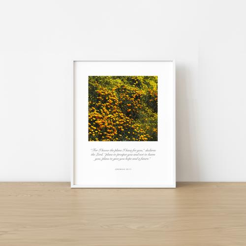 Jual Poster Kristiani 20x25 - Jeremiah/Yeremia - Plans/Rancangan ...